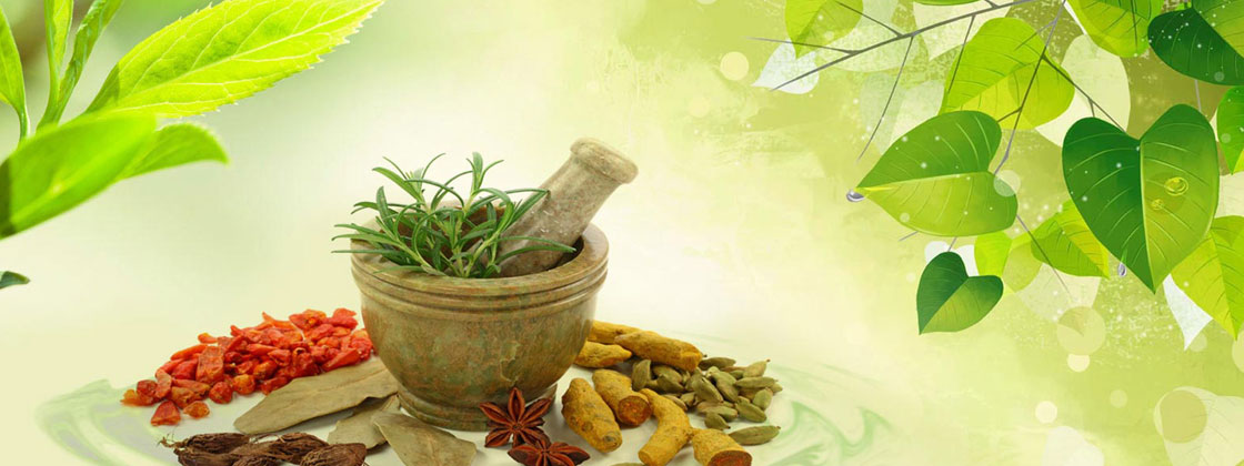 Herbal Extracts Exporters From India | Natura Vitalis Industries